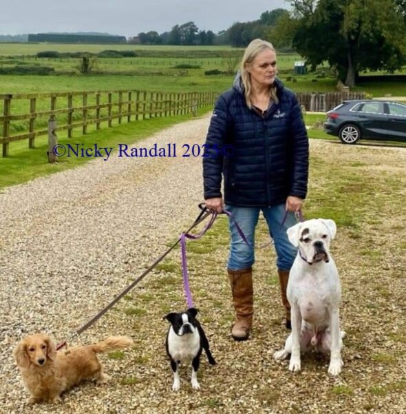 About | Nicky Randall